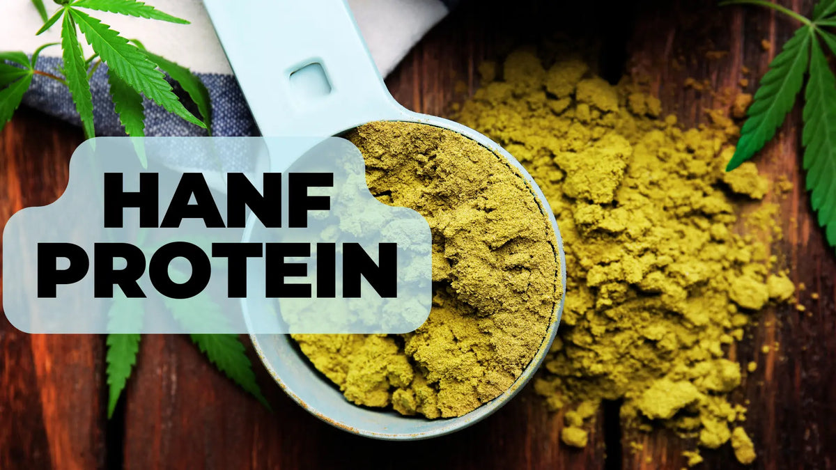 Hanfprotein kaufen - der Hanfbayer – Der Hanfbayer